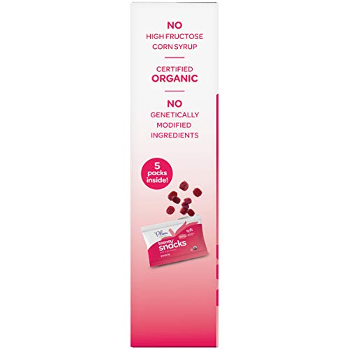 Plum Organics Teensy Snacks Organic Toddler Fruit Snacks, Berry, 1.75 Ounce Bags (Box of 5)