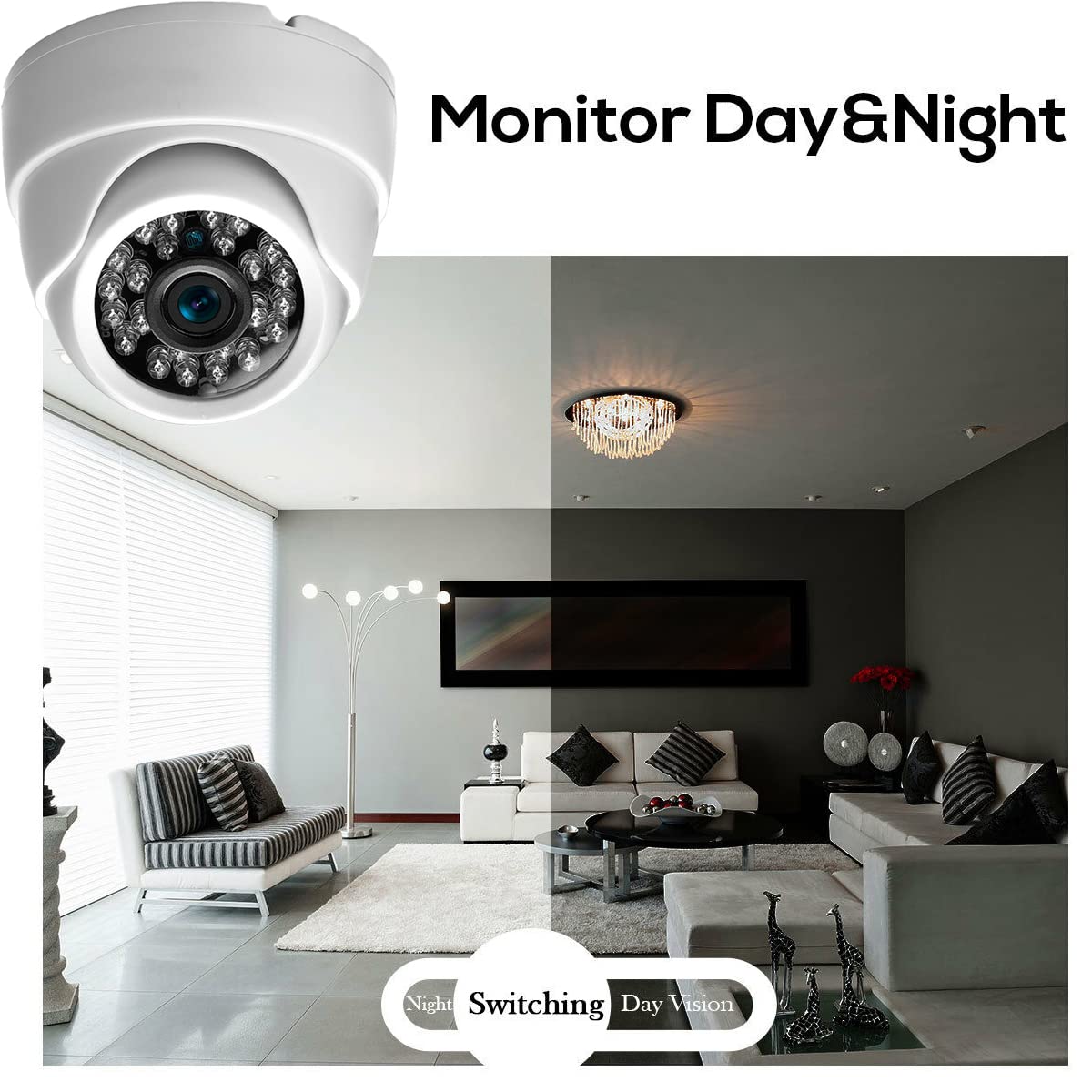 Vanxse® CCTV 24ir Leds 1/3 CCD 800tvl Indoor Dome Audio Camera D/n Security Surveillance Camera