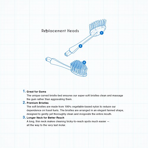 Radius Replacement Heads, Soft, 2 Count (Pack of 3)