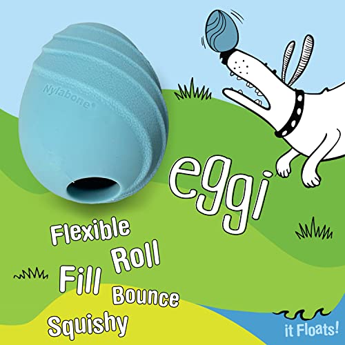 Nylabone Eggi Interactive Fillable Dog Chew Toy - Lightweight Bouncy Floatable Dog Treat Toy for Creative Play & Dog Exercise, Blue, Large/Giant - Up to 50 lbs. (1 Count)