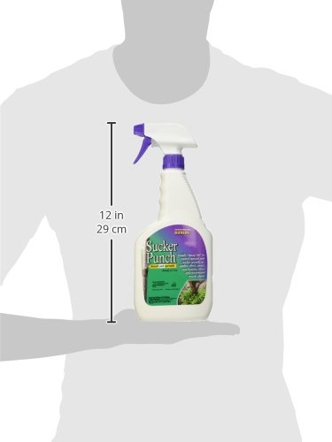 Bonide Sucker Punch, 16 oz Ready-to-Use Spray, Control Unwanted Plant Sprouts, Plant Growth Regulator for Home Garden