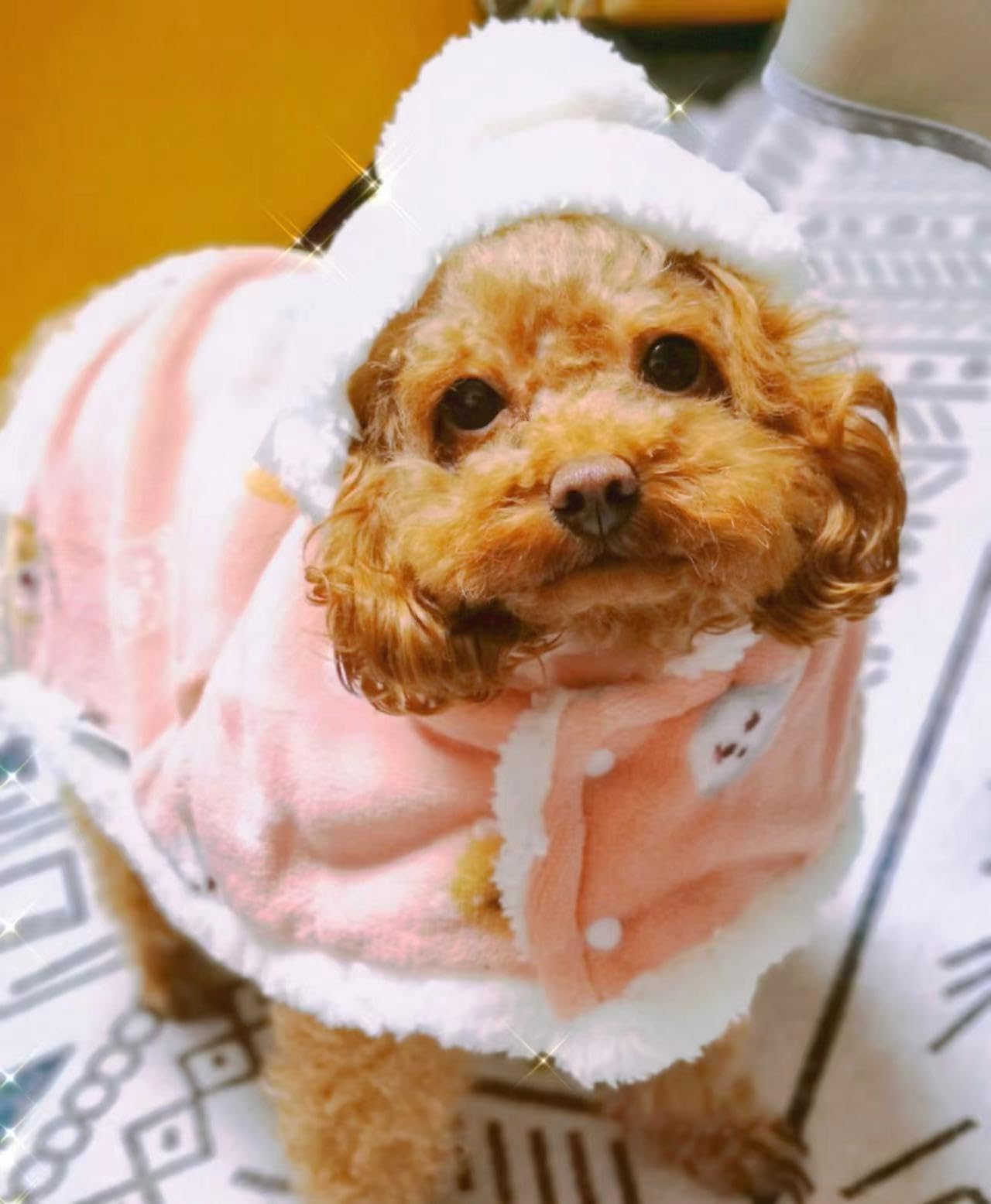 Fulvara Dog Clothes Fleece Winter Coat Warm Soft Dog Vest for Cold Weather,Flannel Blanket Throw Multi-use Pet Apparel for Small Medium Dogs & Cats (M Pink)