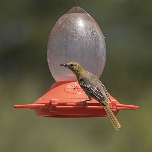 Perky-Pet Opus Plus 32-ounce Plastic 449-2 Oriole Feeder