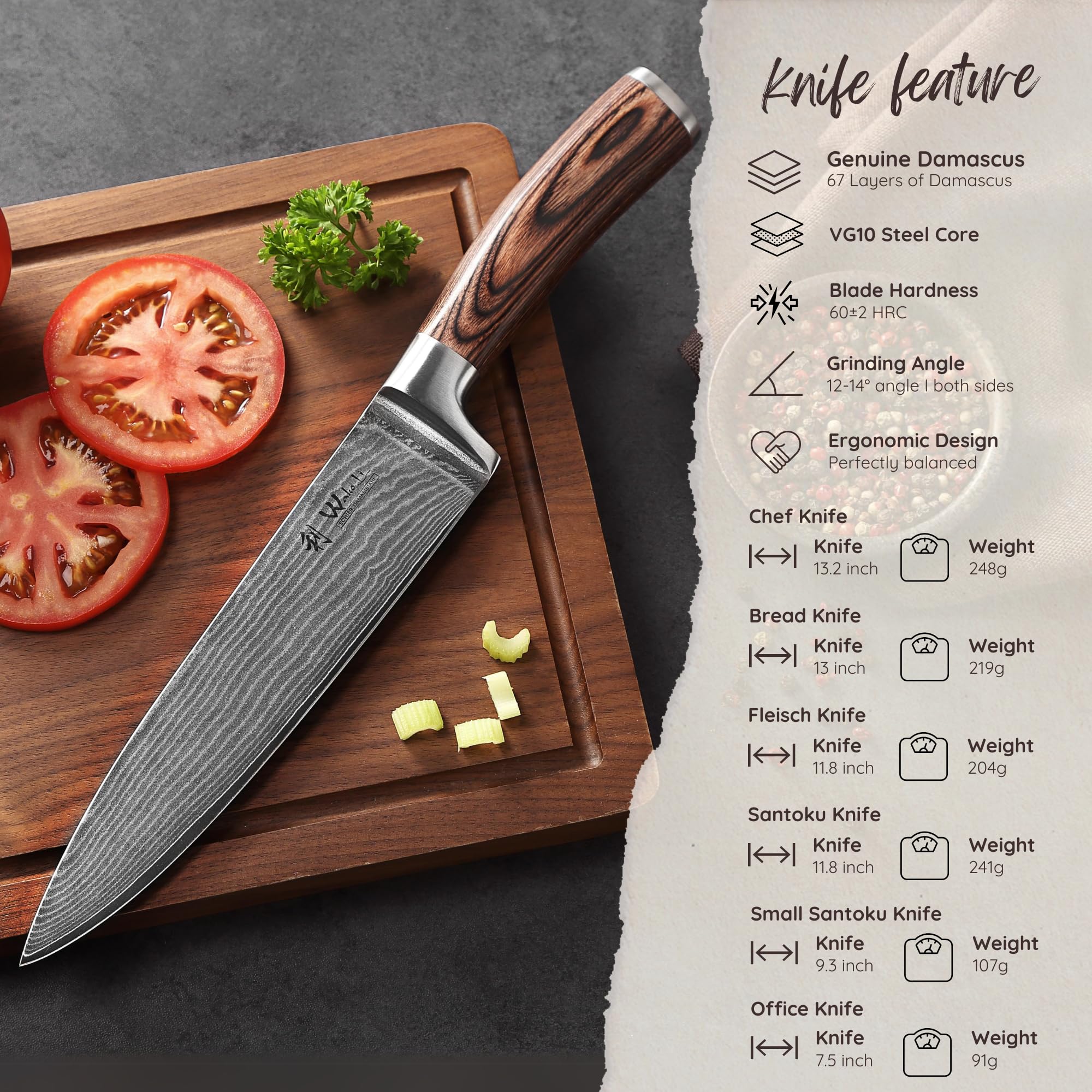 Wakoli Damascus Kitchen Knife Set, 6 Pieces Professional Chef Knife Set made from 67 Layers of Damascus Steel with VG10 Core, Knives Set for Kitchen with Pakkawood Handles in Gift Box (EDIB 6-pcs)