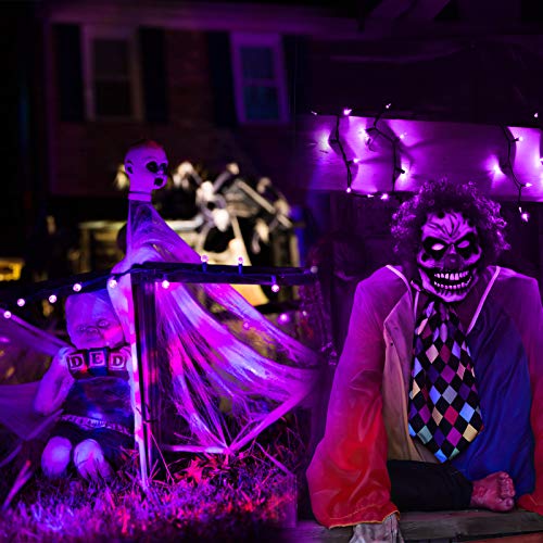 Solar String Lights Outdoor Waterproof 8 Modes 200 LED 72ft Solar Fairy Lights Outdoor for Patio Garden Fence Path Holiday Party Halloween St. Patrick's Day Christmas Decorations (Purple-2 Pack)