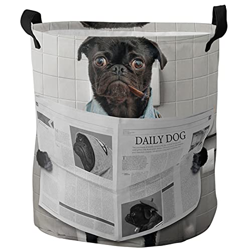 Collapsible Laundry Basket - 16.5 x 17 In Smoking Pug Sitting on The Toilet Storage Bin Laundry Hamper with Handles, Funny Watching Newspaper Waterproof Clothes Baskets for Bedroom/Kids Room
