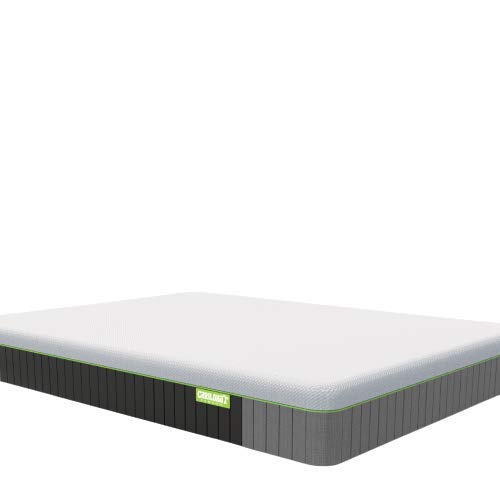Cariloha Medium-Firm Classic Mattress | Queen | White | 10" Memory Foam | Viscose Material | Removable/Washable Cover, Side-Wedge Support, & Dual-Density Base