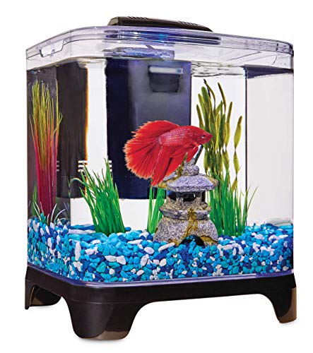 Imagitarium Betta Desktop Kit, 1.4 GAL