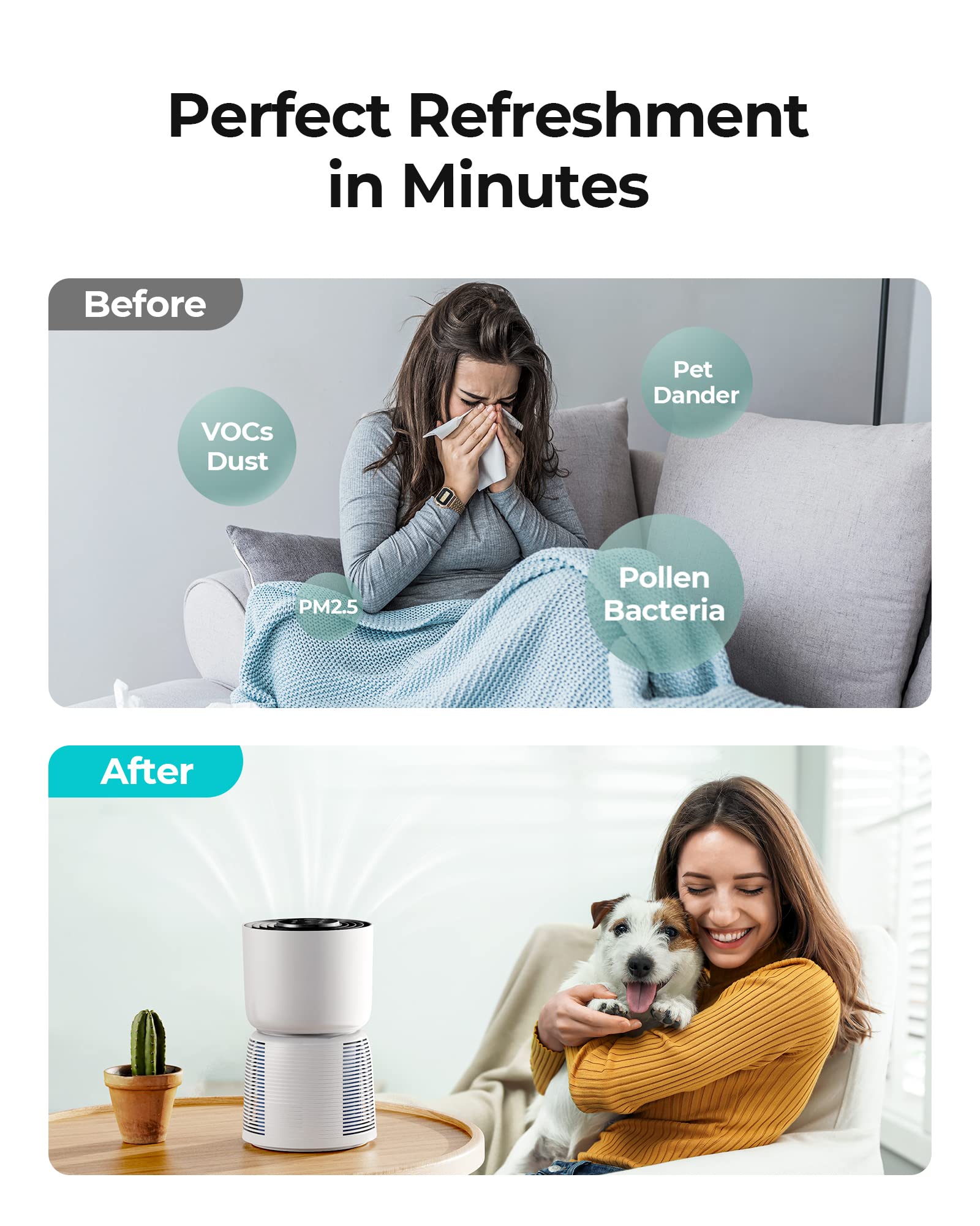 Homvana H201 Air Purifier Replacement Filter, 3-in-1 True HEPA, High-Efficiency Activated Carbon 1 Pack