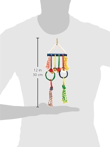 Prevue Hendryx Stick Staxs Hula Hooops Bird Toy, Multi, Small (62424)