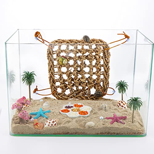 DQITJ Hermit Crab Hammock Natural Seagrass Fibers Hammock Small Reptile Climbing Toys Tank Accessories (Square Shape)