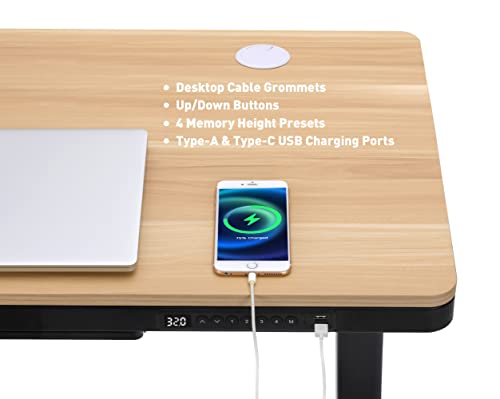 FARRAY Electric Standing Desk with Drawer, 45 x 24 Inch Adjustable Height Desk with Power Strip & USB Ports, One-Piece Top Stand Up Desk, Modern Sit Stand Desk (Oak Top + Black Frame)