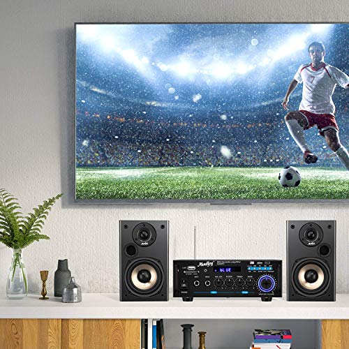 Moukey 2 Channel Amplifier for Stereo Audio Speakers Bluetooth 5.0 - Portable RMS 100W, Desktop Power Receivers with FM Radio, MP3/USB/SD Readers, 2 Mic Input, Remote MAMP3