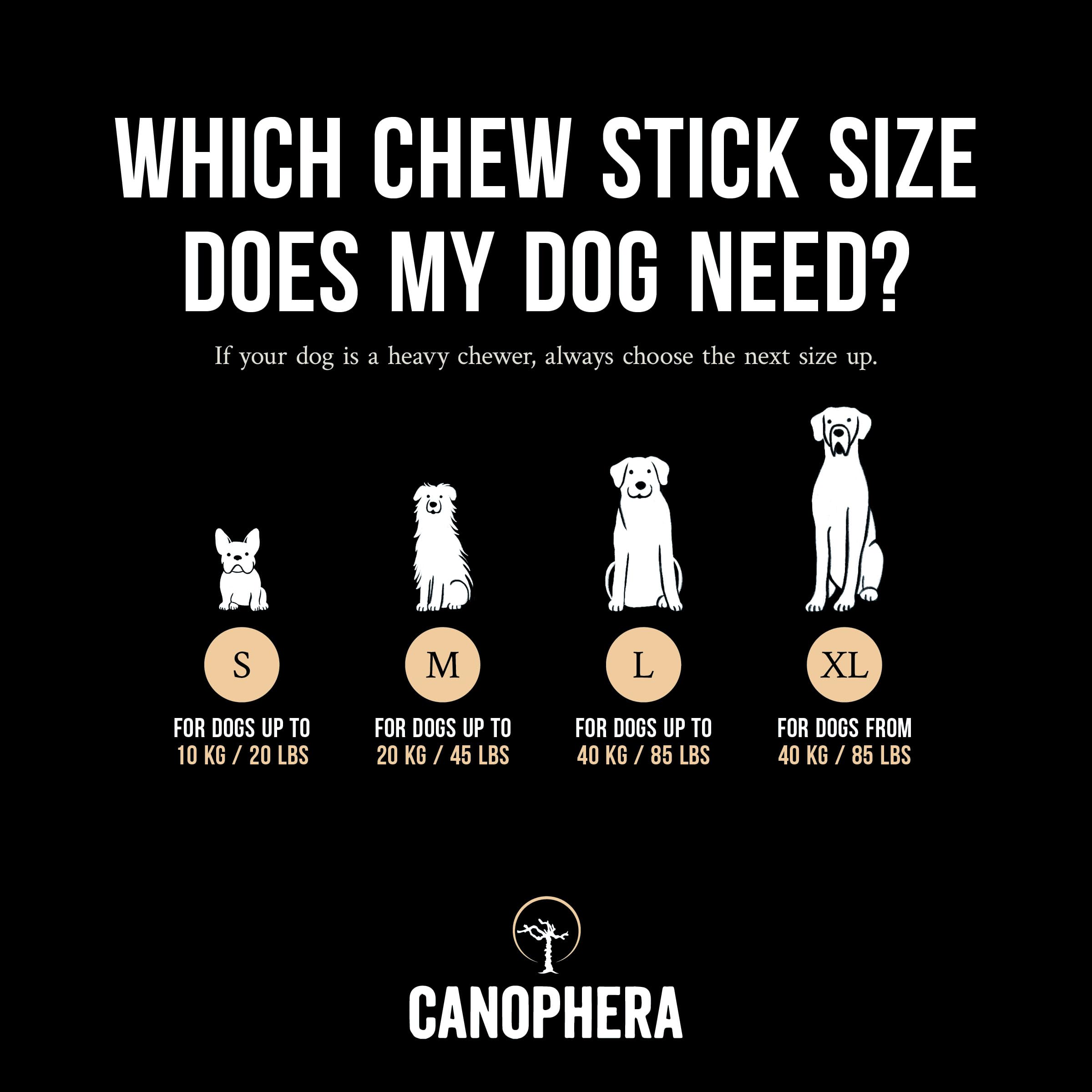 Canophera Dog CHEW Made of Coffee Wood and Coconut Rope - for All Breeds (Large)