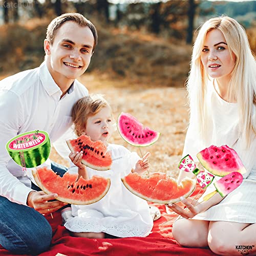 KatchOn, One in A Melon Photo Props - Pack of 28, Watermelon Photo Props, Watermelon Decorations | One in A Melon Party Decorations for Watermelon Birthday Decorations | Watermelon Photo Booth Props