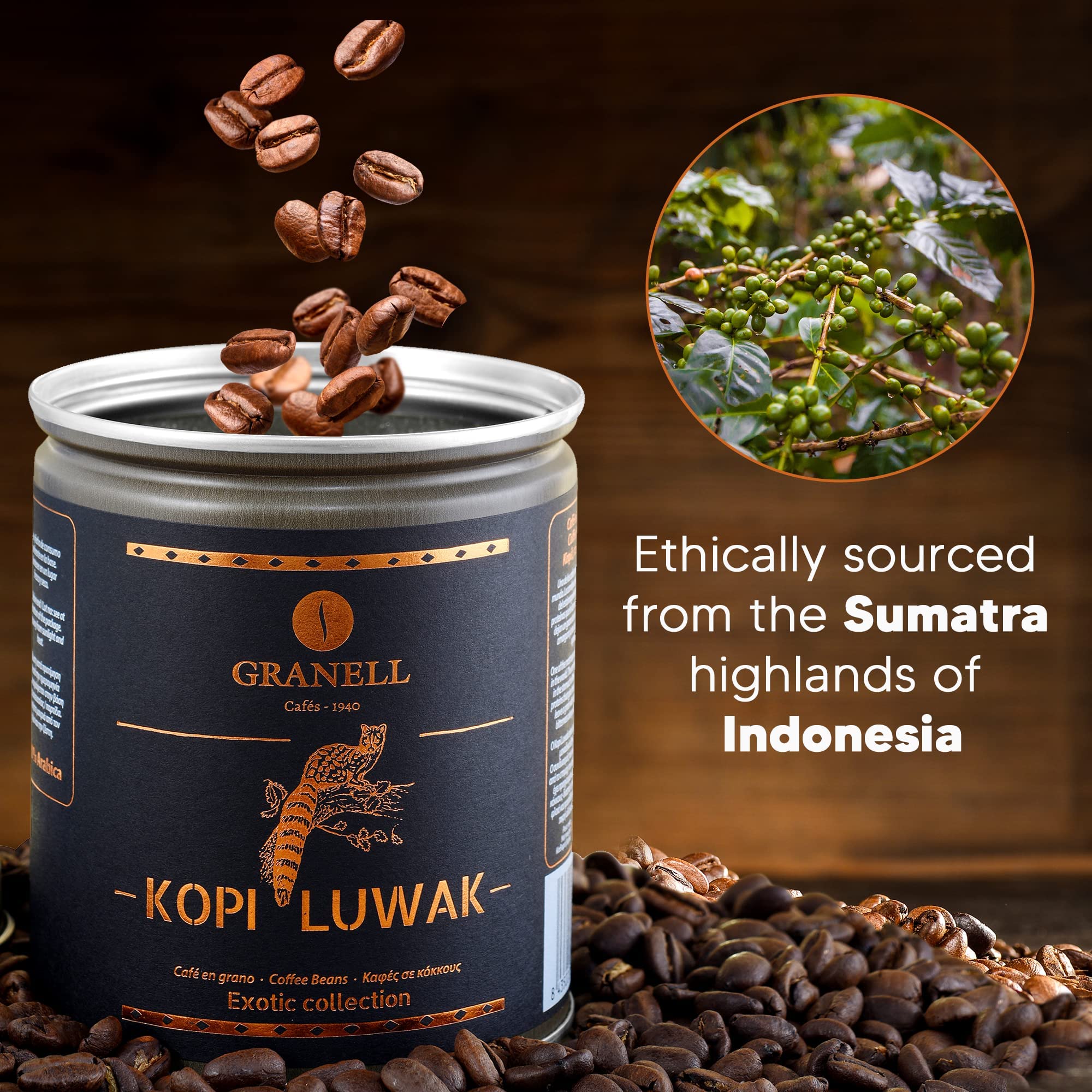 Cafés Granell Wild Civet Arabica Coffee Beans, Medium Roast Gourmet Indonesian Luwak Coffee Gifts, 100g