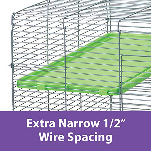 Kaytee My First Home Multi-Level Exotics Habitat for Pet Chinchillas, Rats, Degus, Sugar Gliders and Other Exotic Small Animals