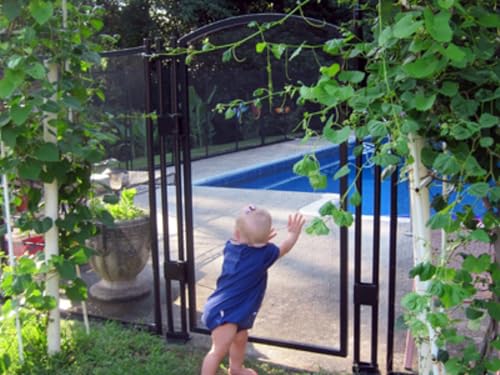 Sentry Safety Pool Fence Visiguard 5' Tall Self-Closing/Self-Latching Pool Fence Child Safety Gate Comes with Hinges, Lock & Latch in Box (Black, 5ft)