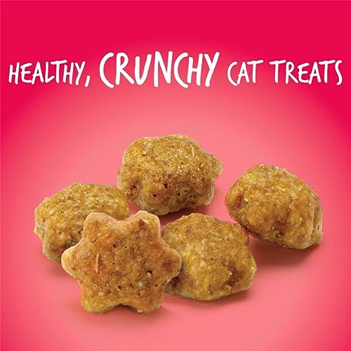 Fruitables Cat Crunchy Treats For Cats β Healthy Low Calorie Packed with Protein β Free of Wheat, Corn and Soy β Made with Real Salmon with Cranberry β 2.5 Ounces