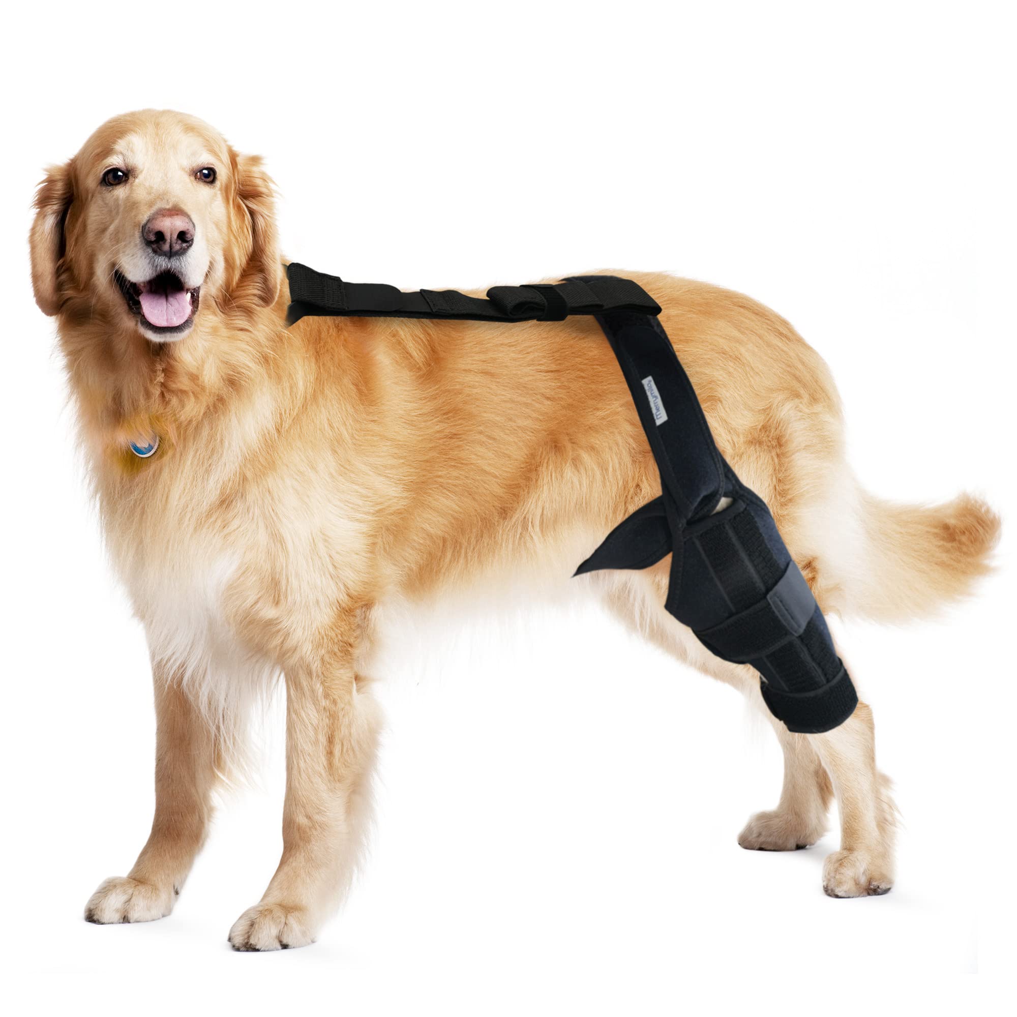 MerryMilo Dog Knee Brace for Torn acl hind Leg, (Size: S), Silver