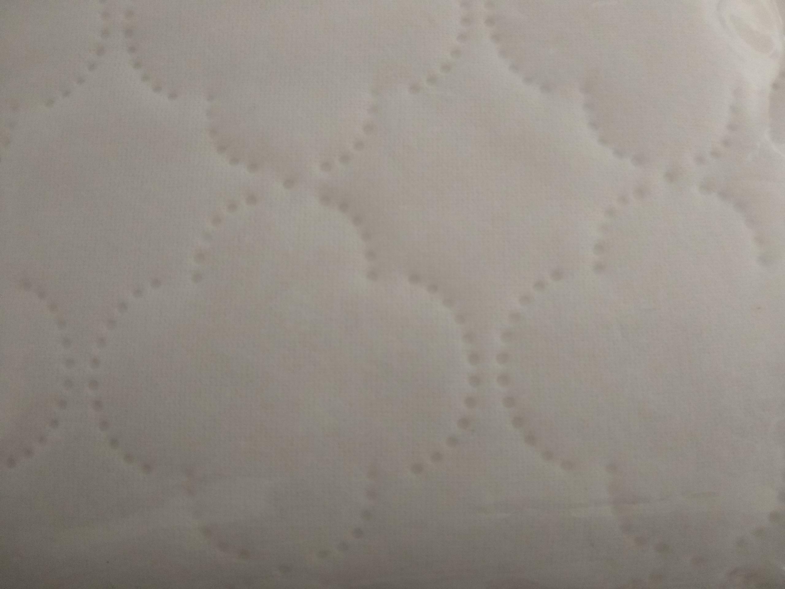 Sealy SecureStay Crib Mattress Pad