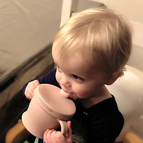 haakaa Silicone Sip-N-Snack Cup, Toddlers Sippy Cup&Snack Container 2-in-1, BPA Free Training Cup for Baby 6 Month+, 8 Oz (Blush)