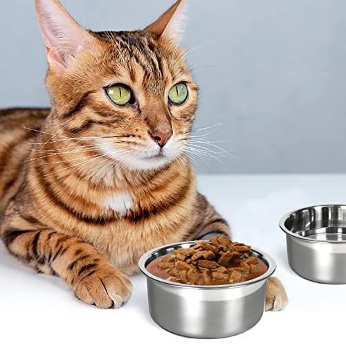 Kennel Water Bowl, 2 Packs No Spill Hanging Cage Crate Bowl for Cat, Small Dog Feeder -2 Cups / 1 Pint