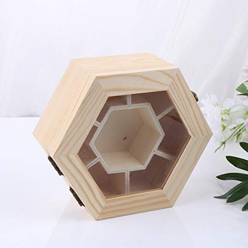 EXCEART Unfinished Wooden Jewelry Box Hexagon DIY Trinket Storage Box Blank Keepsake Organizer 7 Compartments Clear Top Craft Gift Box with Locking Clasp for Art Craft Home Decor