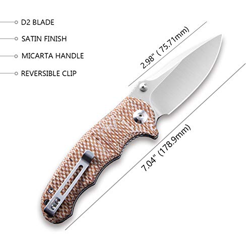 CIVIVI Hooligan Small Pocket Knife - Folding Knife with 2.98β D2 Blade Micarta Handles,Hunting Outdoor Knife with Reversible Clip for men C913C (Snakeskin)