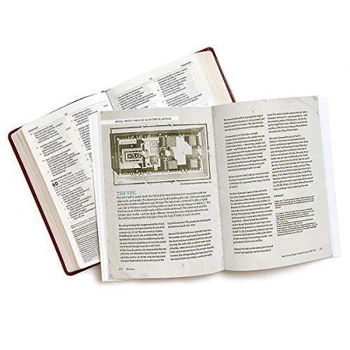 Hebrews Bible Study Book: The Nearness of King Jesus