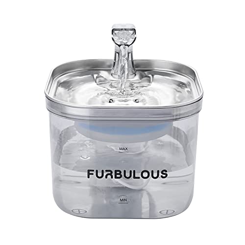 FURBULOUS pet Fountain 68oz/2L, Automatic cat Water Fountain, 3-Speed Adjustable Silent Water Pump, 304 Stainless Steel Drinking Tray, Translucent Water Tank. Dog Water Dispenser for Multiple Pets