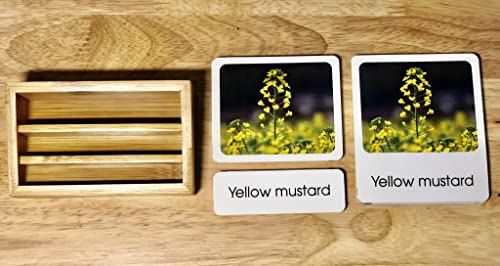 KIHACO 2 Sets Montessori Three Part Card Tray Montessori material The Holder for Montessori 3 Part Cards - NOT for Greeting Cards