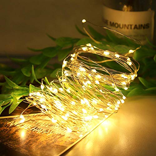 Vensans 50 LED Fairy String Light, LED String Light for Bedroom Lawn Landscape Garden Home Christmas Holiday Decor (Warm White)