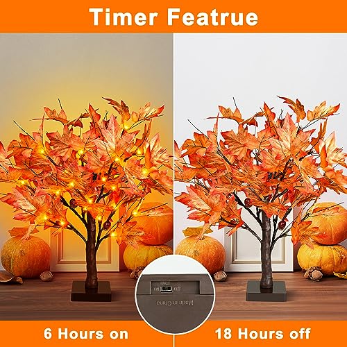 FastDeng 1.5ft Lighted Maple Tree, Artificial Fall Maple Tree with 36 LED Lights, 72 Leaves,6 Acorns, Autumn Tabletop Tree with Burlap Base for Indoor Fall Harvest, Thanksgiving Decorations (2Pack)