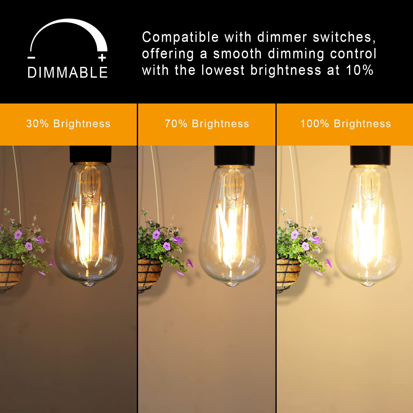 Ascher Dimmable Vintage LED Edison Bulbs, 6W, Equivalent 60W, High Brightness Warm White 2700K, 80+ CRI, ST58 Antique LED Filament Bulbs, E26 Medium Base, Clear Glass, 12 Pack, 12 Count (Pack of 1)