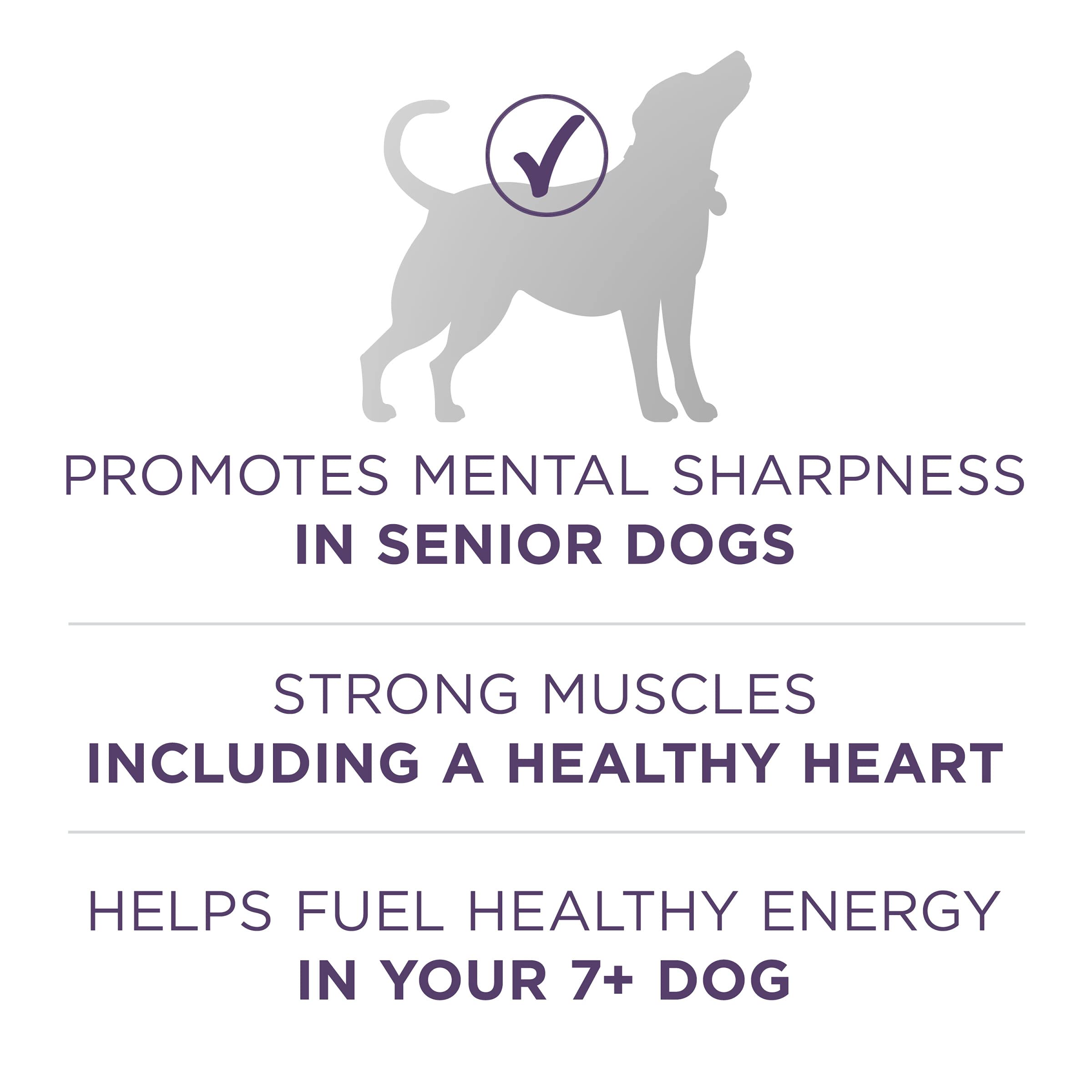Purina ONE High Protein Dry Senior Dog Food Plus Vibrant Maturity Adult 7 Plus Formula - 8 lb. Bag