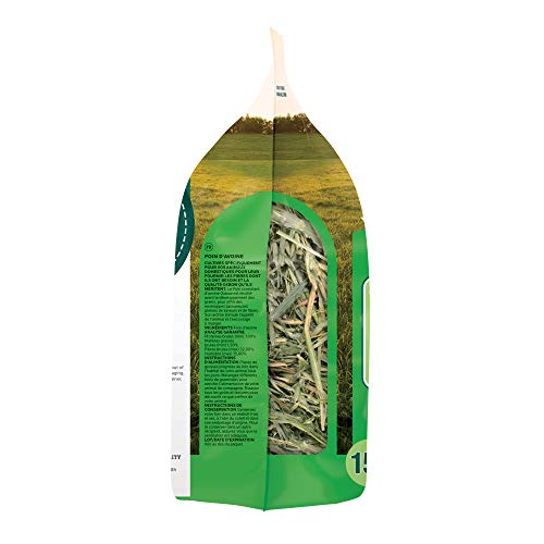 Oxbow Animal Health Oat Hay - All Natural Hay for Rabbits, Guinea Pigs, Chinchillas, Hamsters & Gerbils - 15 oz.
