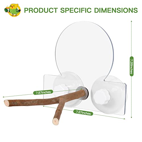 GJRGEG1Y Removable Window/Shower Perch Platform with Suction Cups for Bird Includes Stainless Steel Washer Robust and Stable Without Falling (Small)