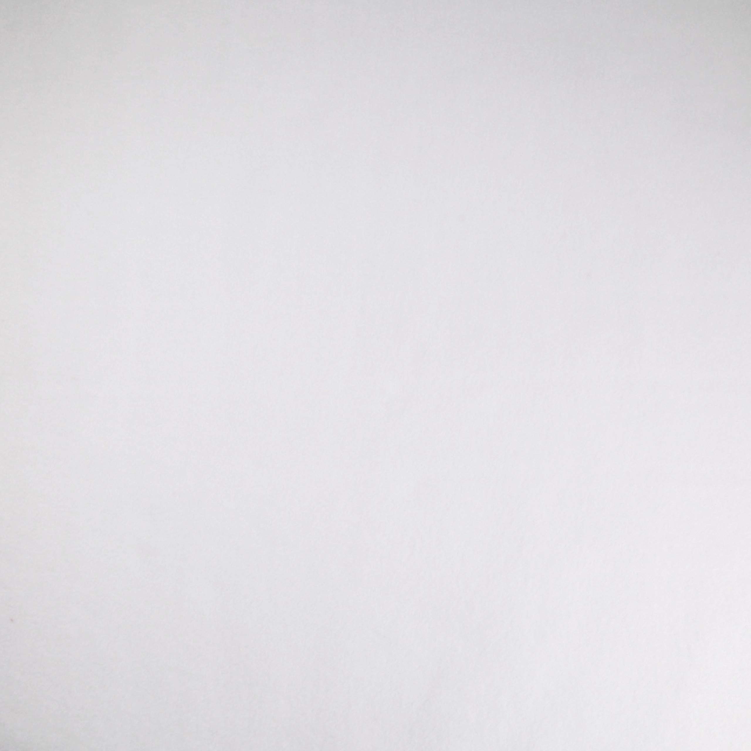 FabricLA | Sweatshirt Fleece | 60" Wide | Poly Cotton Blend | Soft Comfy Apparel Fabric | White | Sold by The Yard