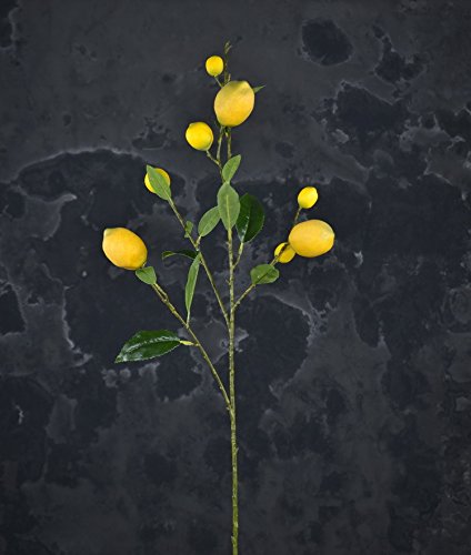 GiDiProtea Artificial Lemon Branch Yellow Vivid Artificial Fake Lemon Flower Home Party Garden Decoration 2Pcs 7 Lemons