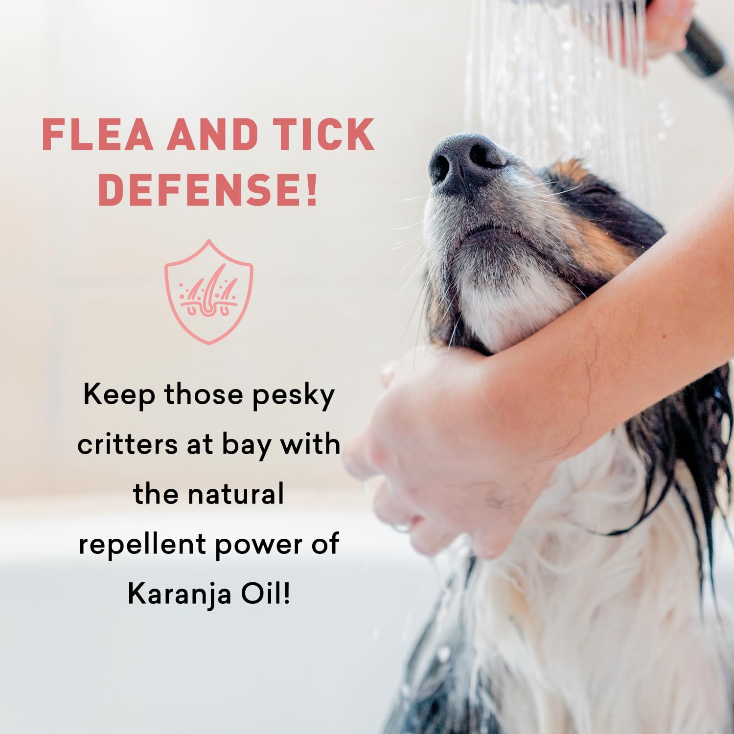 Dog Vinegar Rinse Cleanser | Best Dog Coat and Skin Cleanser | Helps Reduce Itchy and Scratching | Skin Calming | Natural Ingredients | Just Nutritive | 16 fl oz