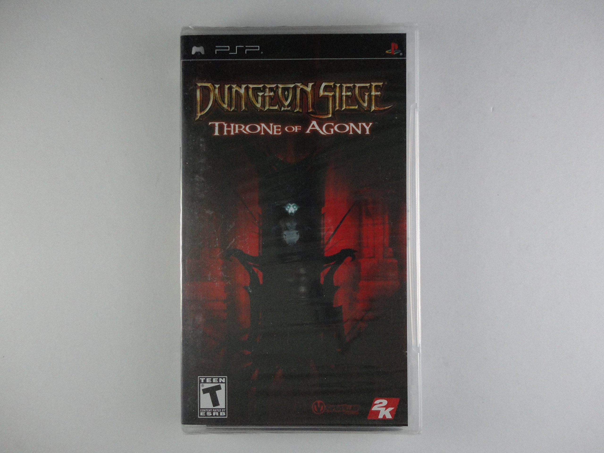 Dungeon Siege: Throne of Agony - Sony PSP