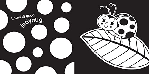 Hello, Garden Bugs: A High-Contrast Board Book that Helps Visual Development in Newborns and Babies (High-Contrast Books)