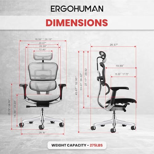 Ergohuman Eurotech ME7ERG GEN2 High Back Mesh Office Chair with Tilt Tension Control, Tilt Lock, Back Angle, Back Height, Synchro Tilt, Seat Height, Seat Depth, and Arm Height Adjustments, Grey