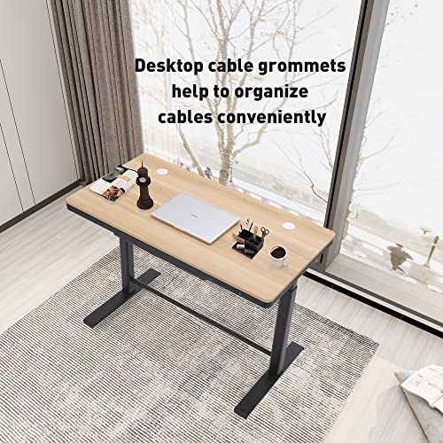 FARRAY Electric Standing Desk with Drawer, 45 x 24 Inch Adjustable Height Desk with Power Strip & USB Ports, One-Piece Top Stand Up Desk, Modern Sit Stand Desk (Oak Top + Black Frame)