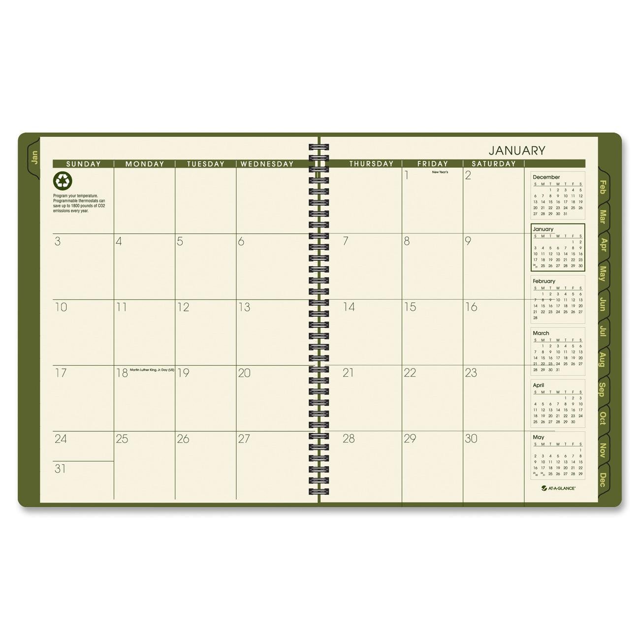 AT-A-GLANCE Recycled Weekly/Monthly Appointment Book, 8 x 11 Inches, Green, 2012 (70-950G-60)