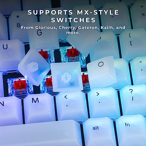 Glorious Polychroma Keycaps: Clear for RGB Shine Through for Mechanical Gaming Keyboards, 115 Keys, Translucent Cherry Profile