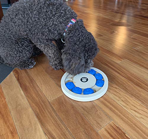 PetRageous 13005 Thinkrageous Interactive Intermediate Level Puzzle Piece Pet Toy Measures 9.84-Inch for Dogs and Cats and Ages, Blue