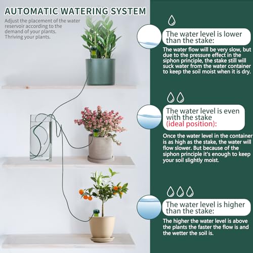BYDOLL Plant Self-Watering Stakes Automatic Plant Watering Spikes for Indoor or Outdoor Plants,Houseplant Insert Watering Devices for Vacation Garden use,Drip Irrigation System for Plant(5 Pack)