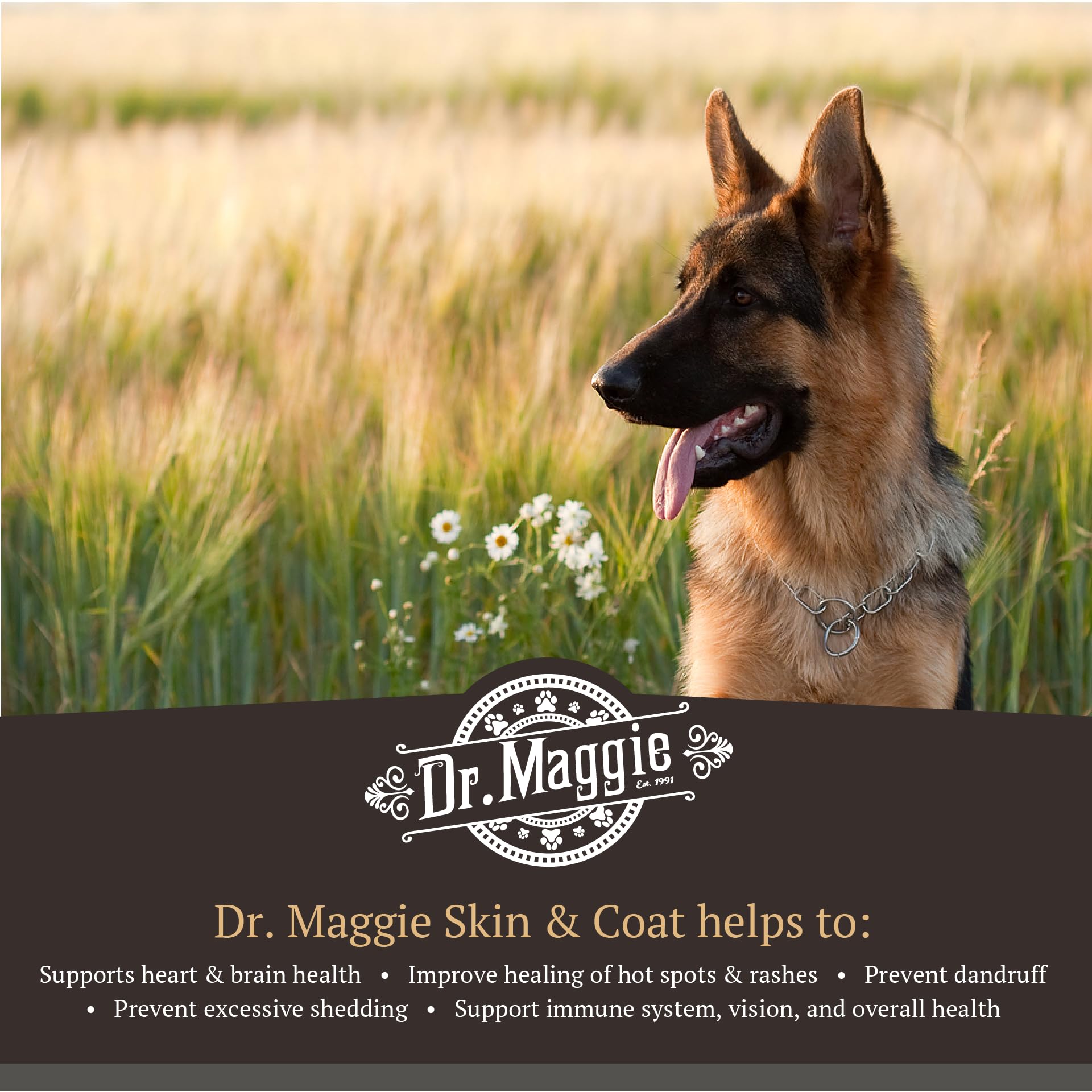 Dr. Maggie Skin and Coat | Omega 3 Supplement with Fish Oil, Flax, and Olive Oil | 480 ml